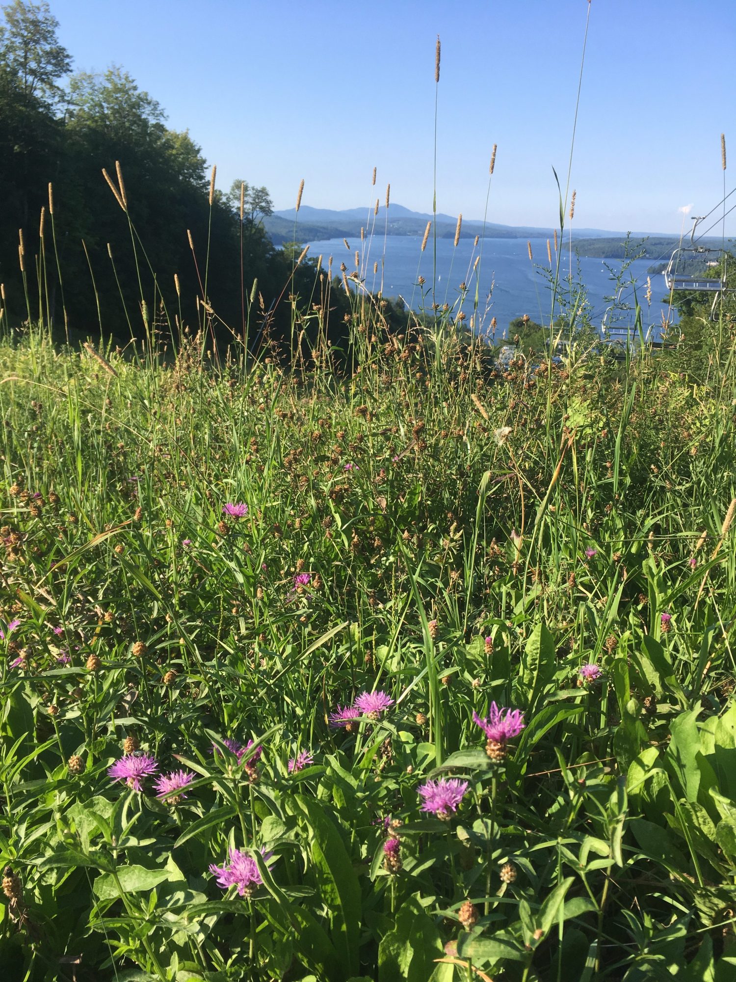 Une promenade de rêve entre mont et lac! – Lifestyle
